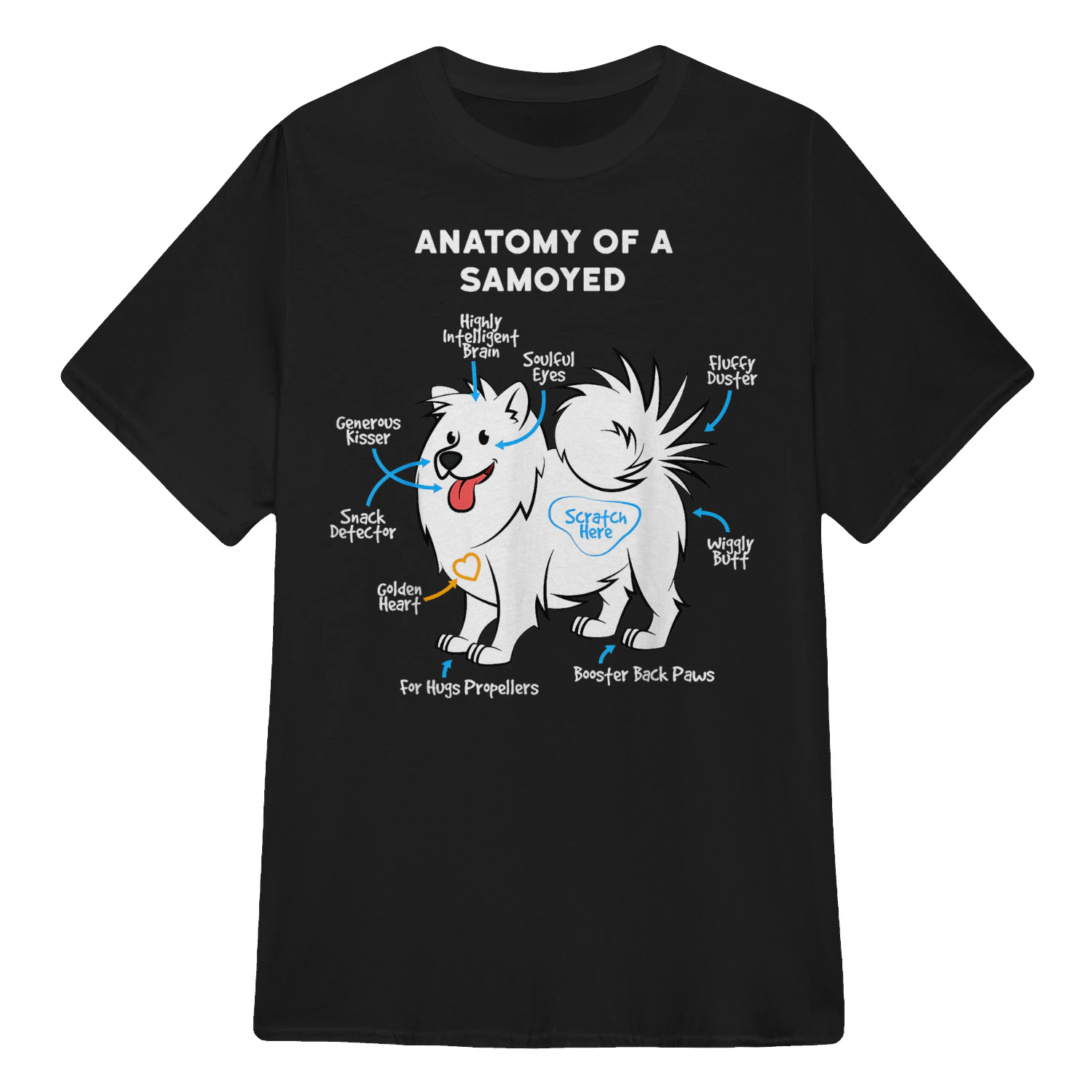 Anatomy of a Samoyed